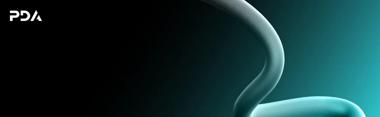 Modeli PDA kompetencija 2024. | HiNT - Training & Coaching